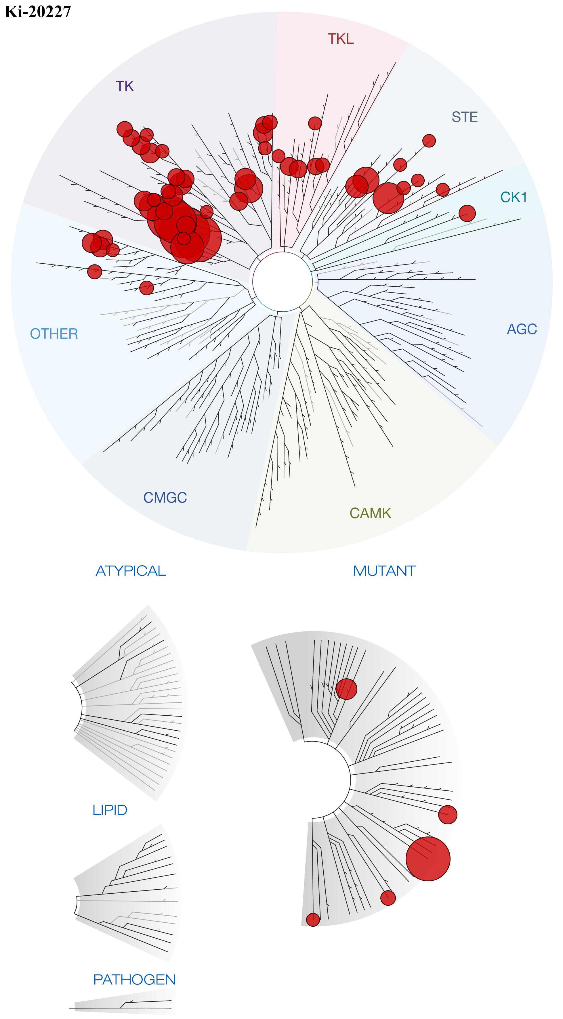 Ki-20227: To download right-click on the image and select 'Save Picture ...
